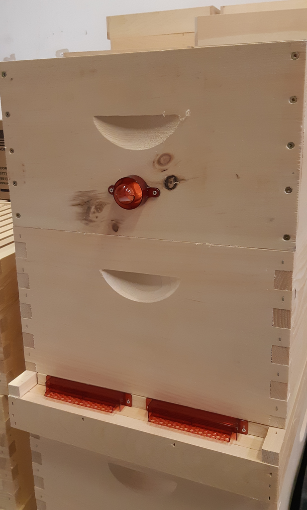 Guardian Small Hive Beetle Entrance SHB – Humble Bee